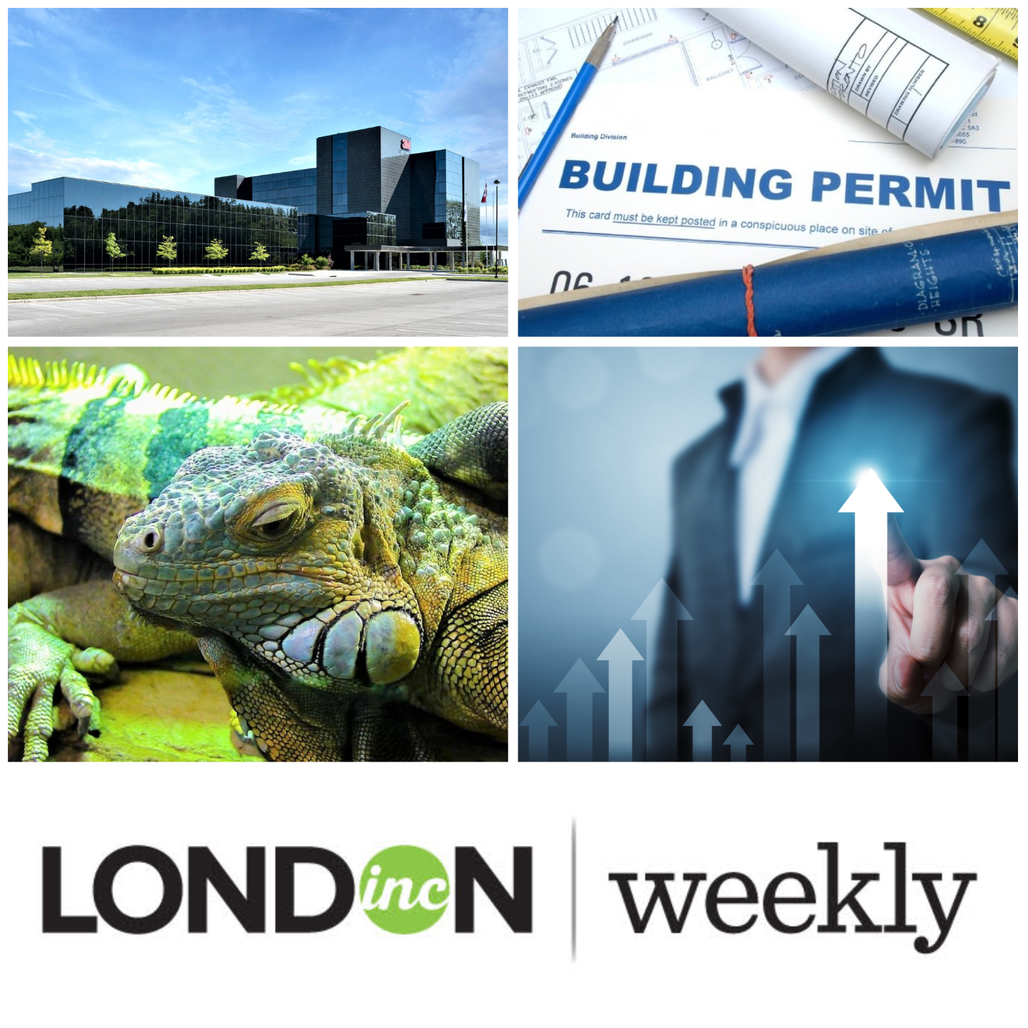 Robarts Clinical Trials Rebrands As Alimentiv Inc. | London Inc Magazine